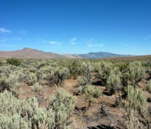 Emigrant Trails West, Inc. − Beckwourth Trail