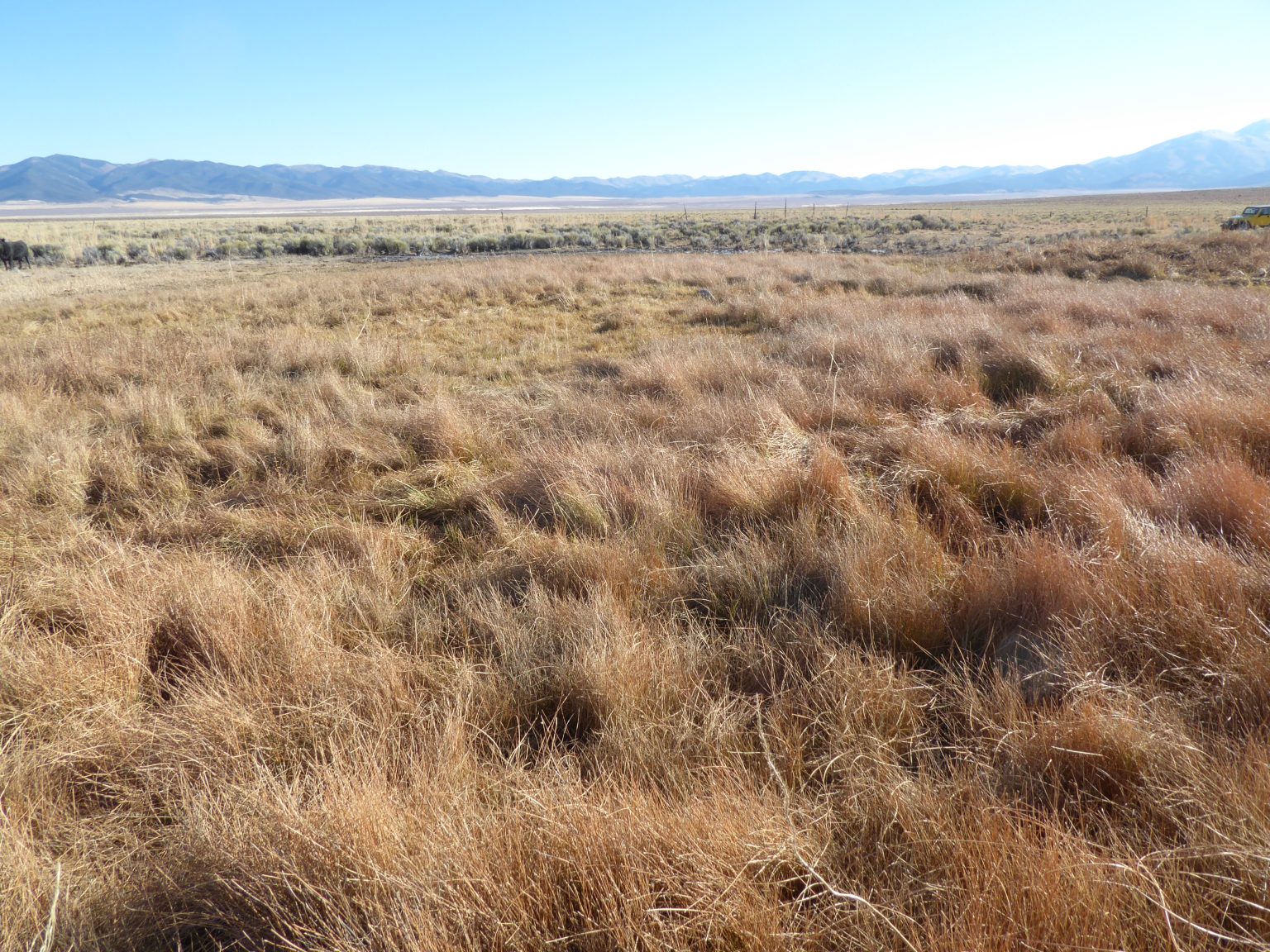 Emigrant Trails West, Inc. − Hastings Cutoff